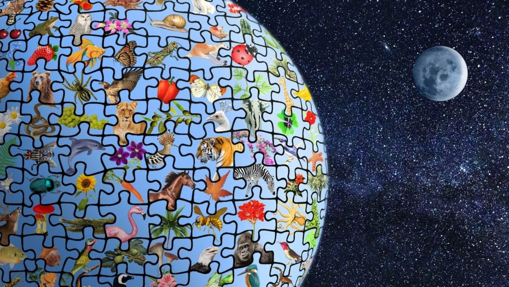 Free Brain Games To Boost Your Brain Power G15Tools